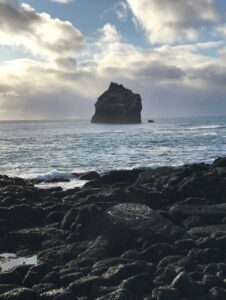 The Powerful Black Lava Beach by Reykjanes Lighthouse - Siggadottir