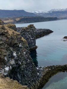 Enjoy the Amazing Views on an Easy Hike from Arnarstapi - Siggadottir