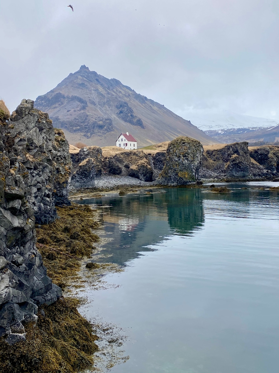 Enjoy the Amazing Views on an Easy Hike from Arnarstapi - Siggadottir